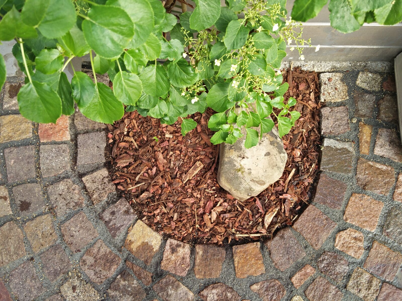 Impressionen | Gartengestaltung Thomas Machnik